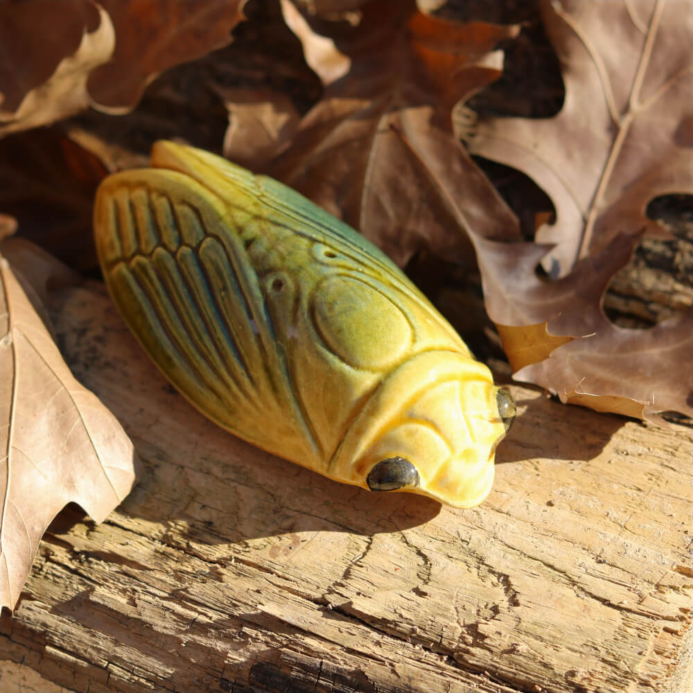 Ceramic Cicada Wall Ornament 4.5" – Ça et Là