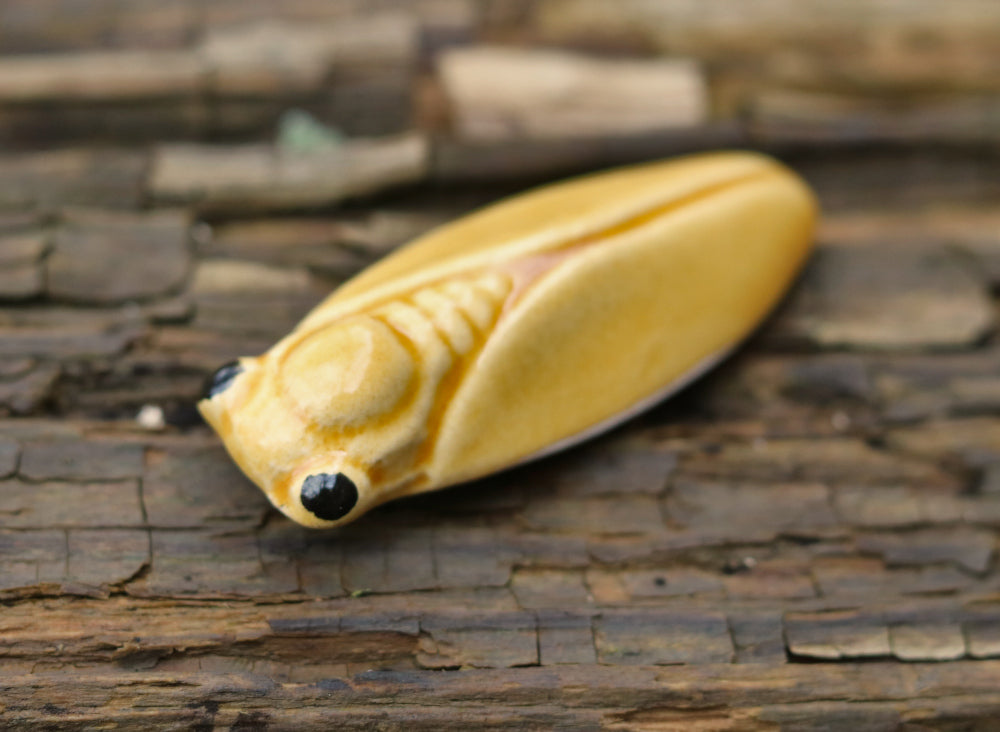 Mini Ceramic Cicada Magnet – Ça et Là