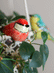 Handmade Ceramic Chickadee Bird Pot Hangers from Provence - Cera d'Art ...